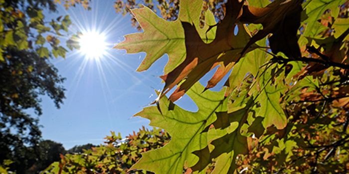 Meteorologische Herbstbeginn steht vor der Tür! | wetter.com
