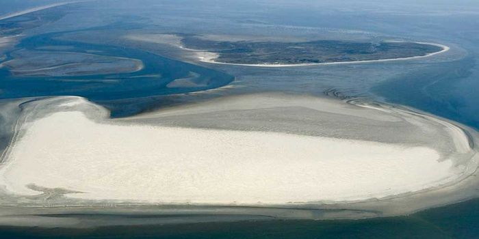 Sylt und das Wattenmeer | wetter.com