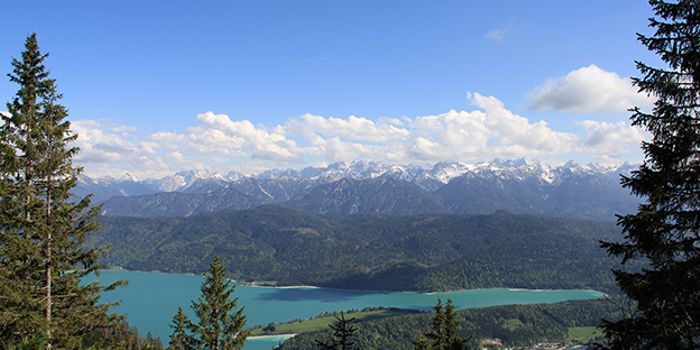 Geschwind wie die Fahne im Wind | wetter.com