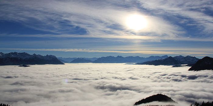 Die Milde bügelt, der Winter bleibt gezügelt | wetter.com