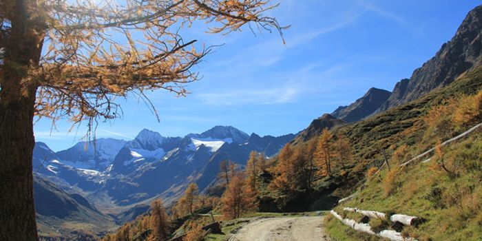 Golden November - gibt's eine Lizenz zum Wintern? | wetter.com