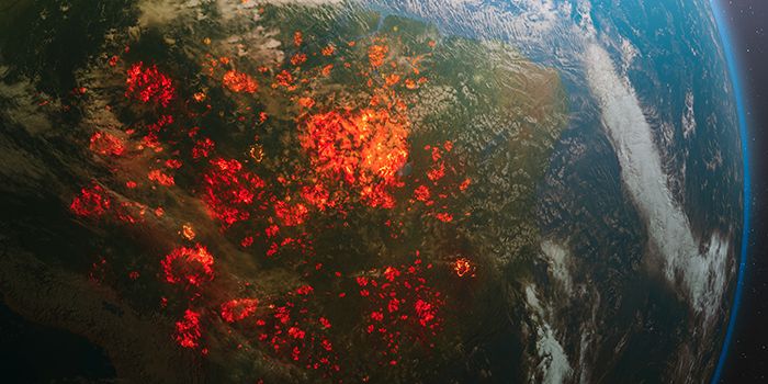 Der Amazonas brennt weiter: Zahl der Feuer in Südamerika auf Rekordhoch ...