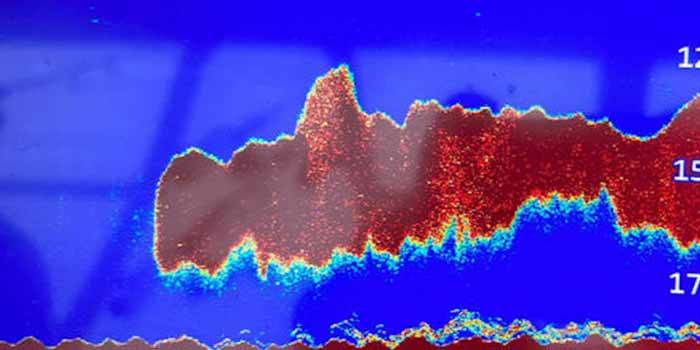 Schockierende Entdeckung: Ist ein antiker Monster-Hai zurück? | wetter.com