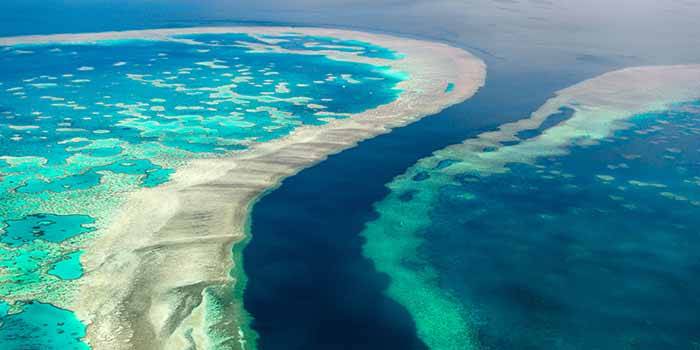Great Barrier Reef bald ein "gefährdetes Welterbe"? | wetter.com