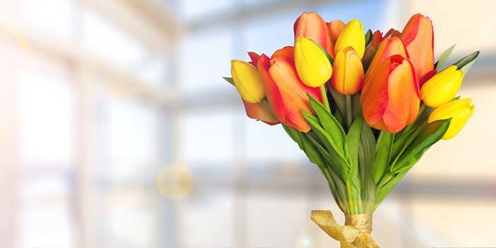 Blumiger Frühling: So halten deine Tulpen länger | wetter.com