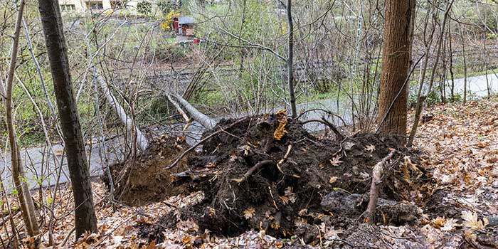Verletzte bei Sturm: Zug fährt gegen brennenden Baum | wetter.com