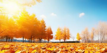 Denise Seiling - | Wetter ist wetter.com